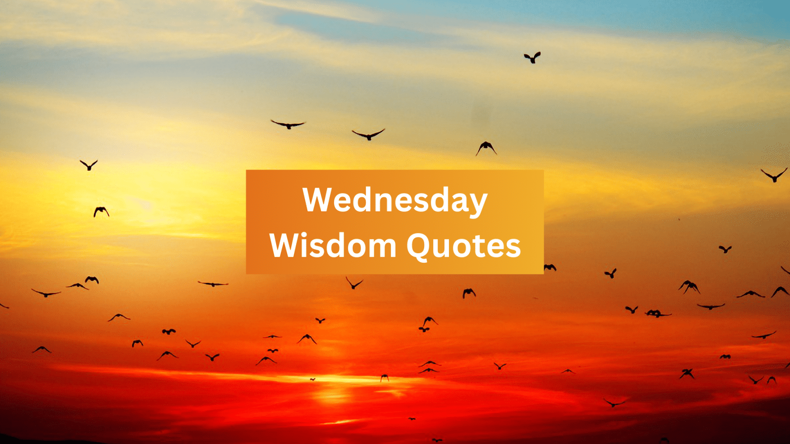 155 Wednesday Wisdom Quotes: Midweek Inspiration - HerInterest