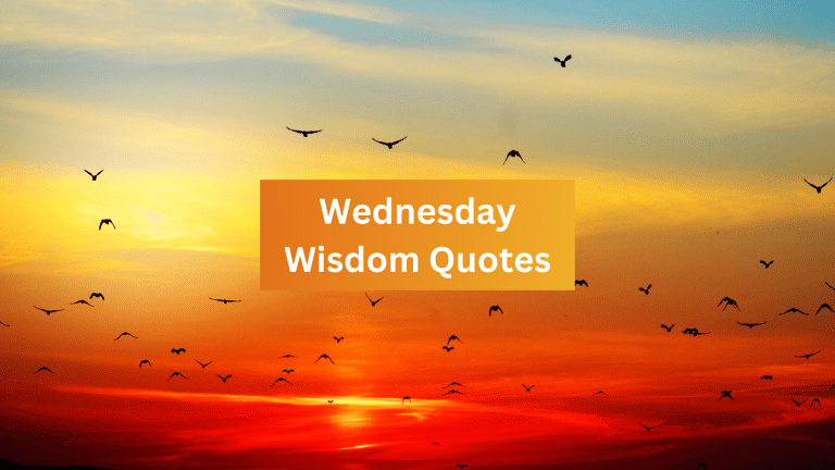 155 Wednesday Wisdom Quotes: Midweek Inspiration - HerInterest